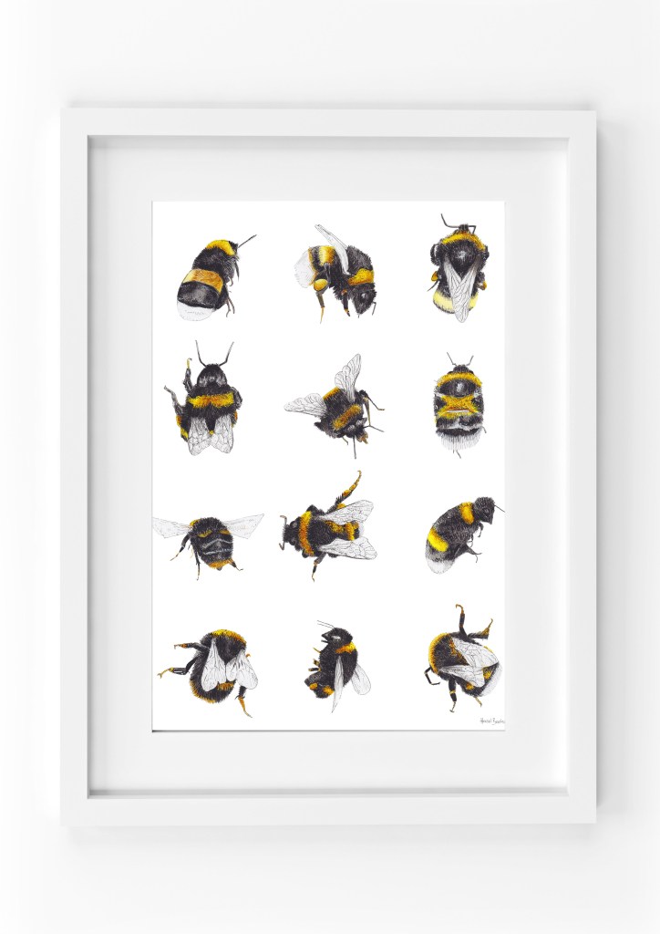 Work – Hazel Beehan