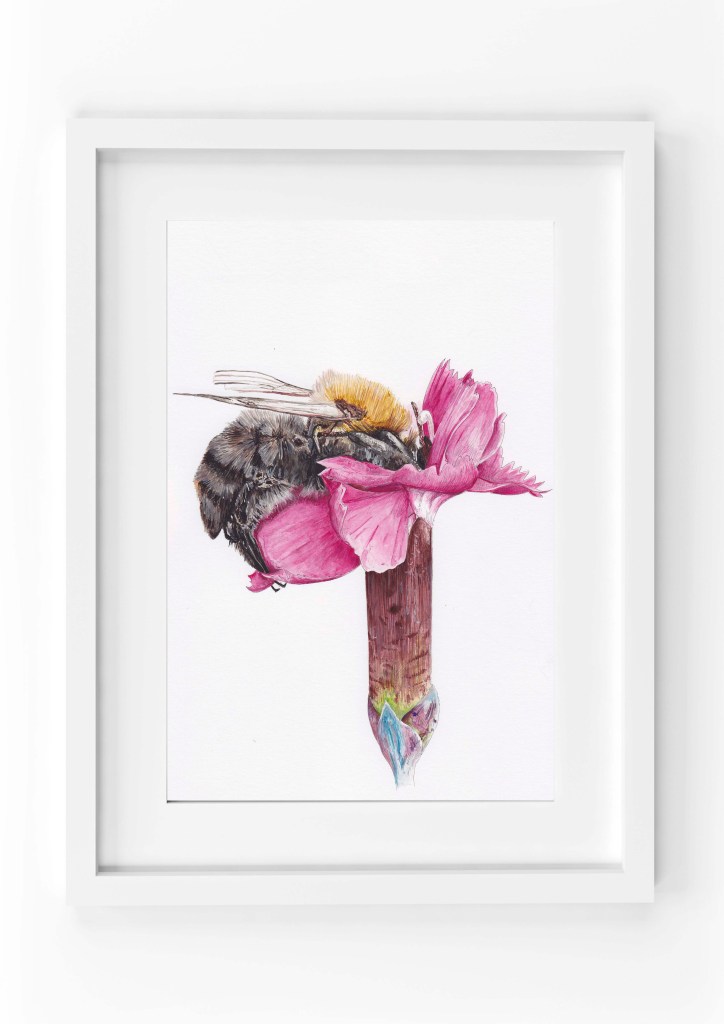 Work – Hazel Beehan