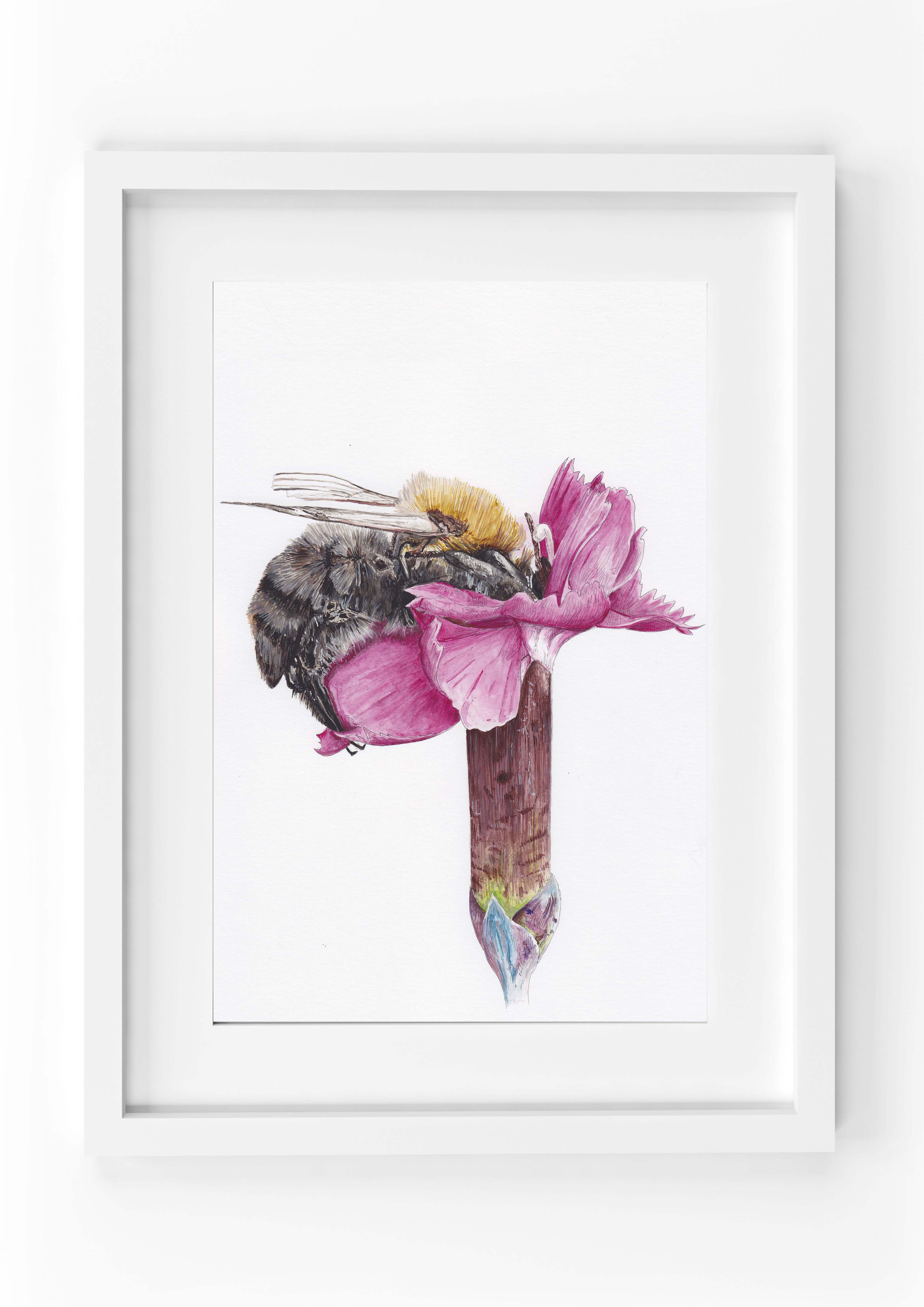 Work – Hazel Beehan