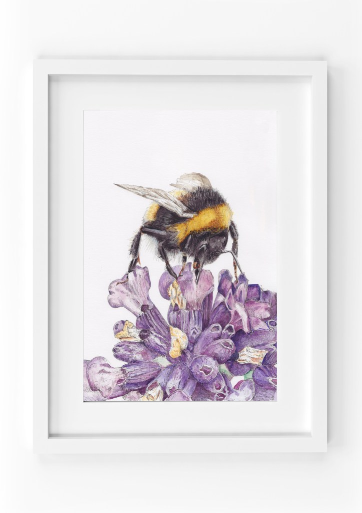 Work – Hazel Beehan