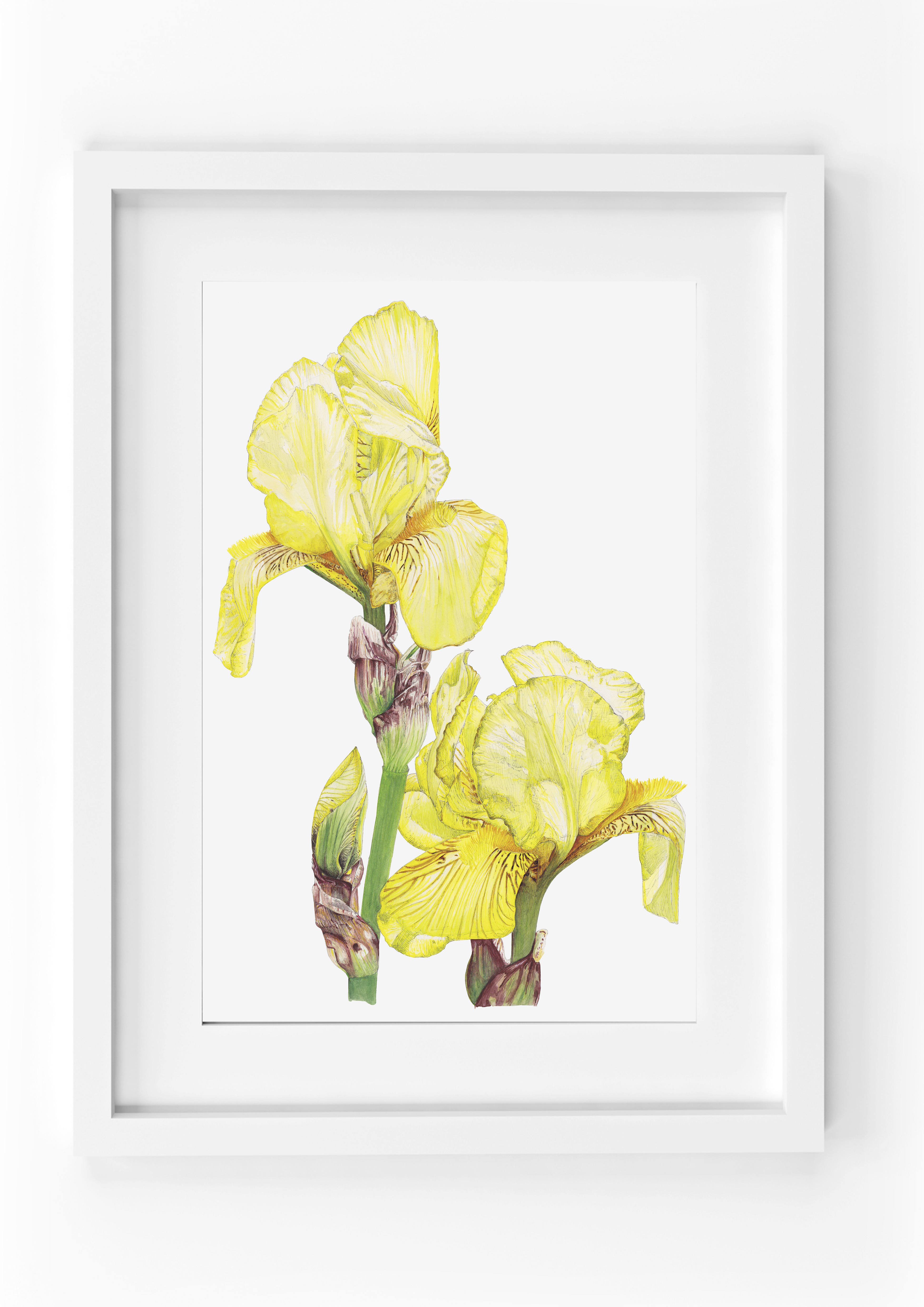 Work – Hazel Beehan