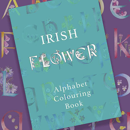 Education – Hazel Beehan